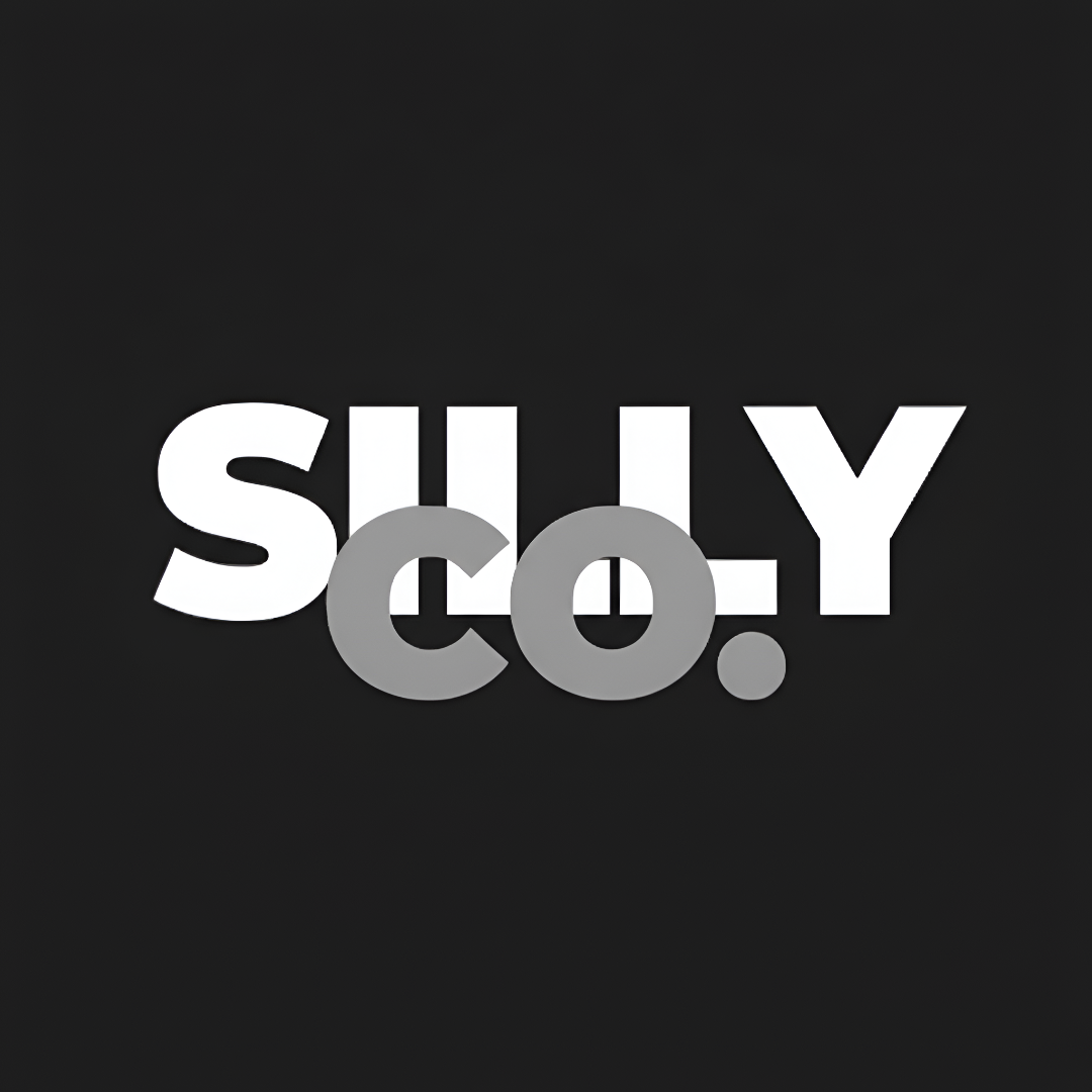 SILLY CO. | Designer's Codebase